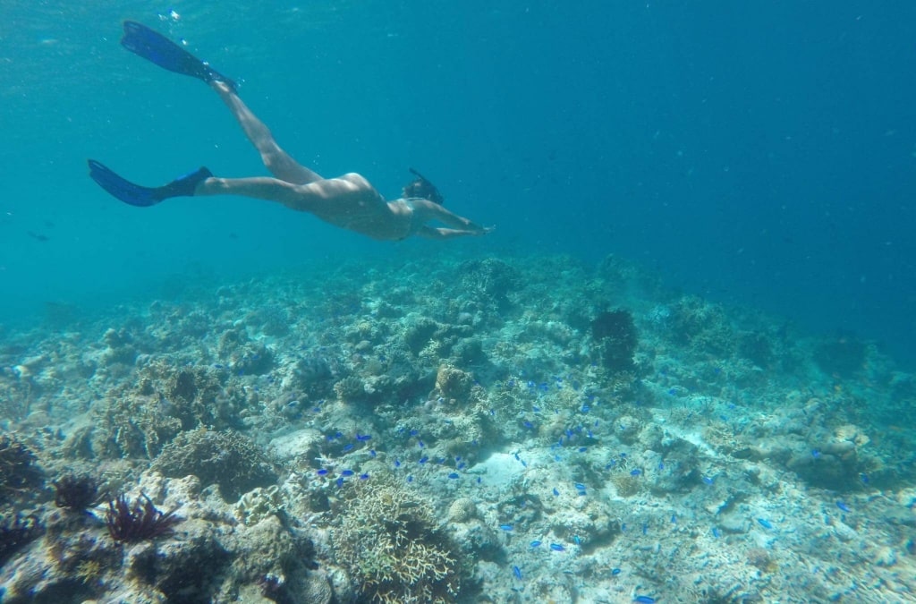 Mesmerising Flores - Bali travel guide for smart travellers
