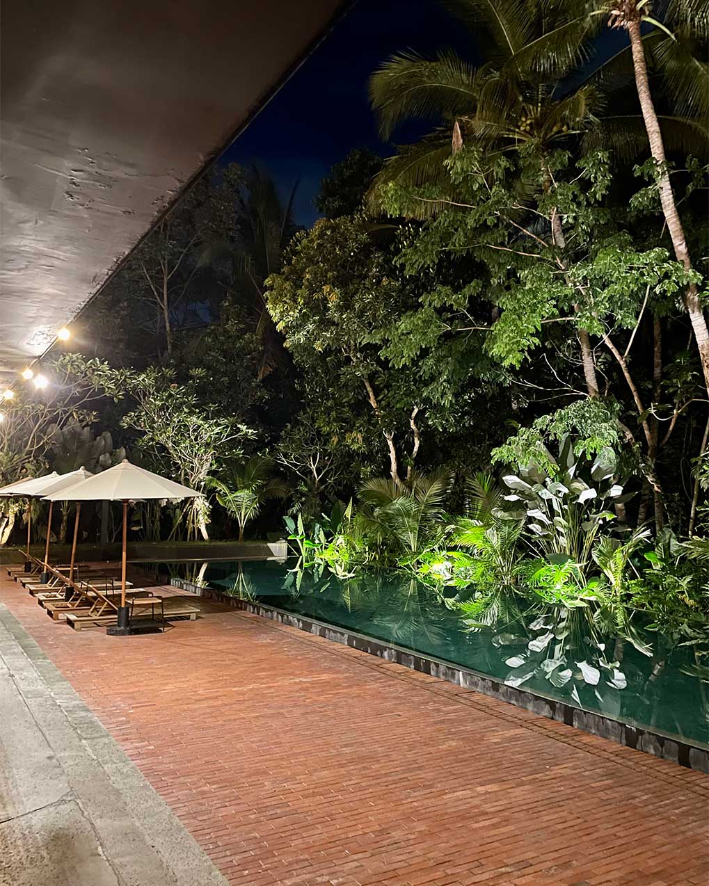 Ubud's Ramu Kitchen - a fusion of fascinating flavours. - Bali travel ...